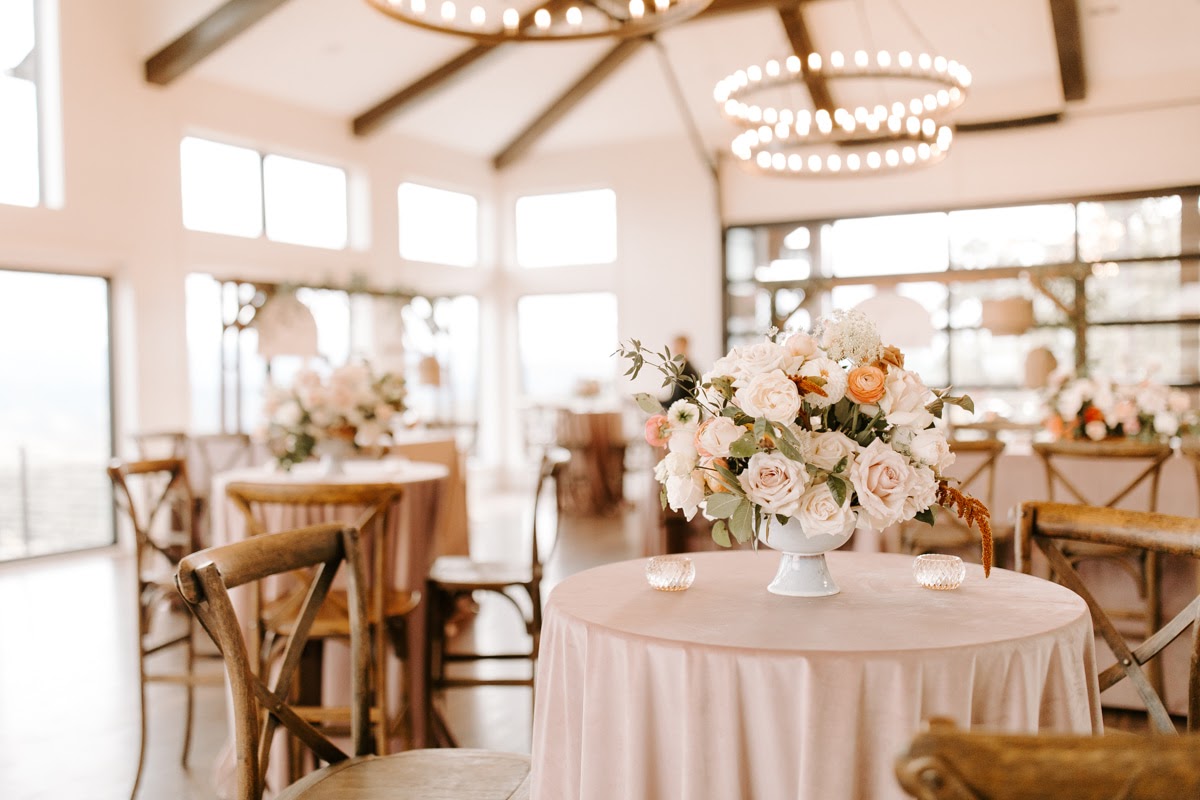 Fun Cocktail Style Reception Overlooking the Smoky Mountains